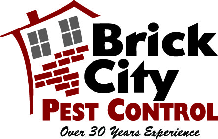 10 Best Pest Control Companies in Ocala, FL - Today's Homeowner