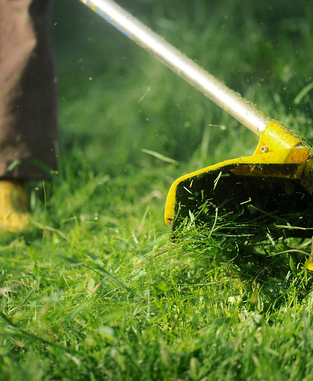 10 Best Lawn Care Services in Richfield, WI - Today's Homeowner