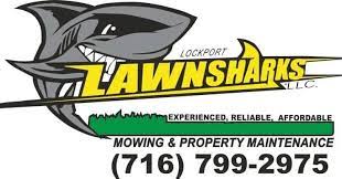 10 Best Lawn Care in Newfane, NY - Today's Homeowner