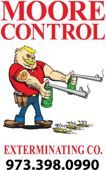 10 Best Pest Control Companies in Succasunna, NJ - Today's Homeowner