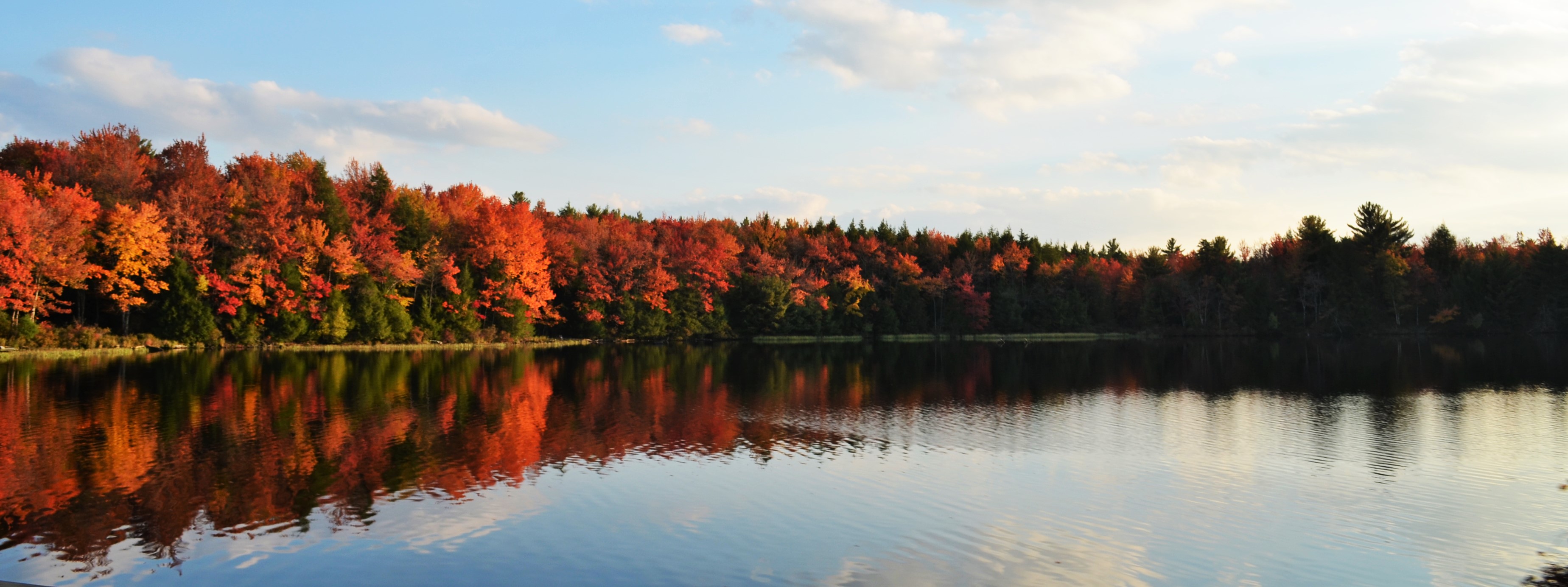 11 Best Foundation Companies in Hazleton, PA - Today's Homeowner