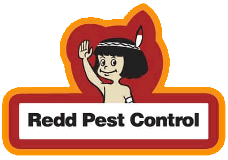 10 Best Pest Control Companies in Bossier City, LA - Today's Homeowner