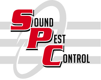 10 Best Pest Control Companies in Bremerton, WA - Today's Homeowner