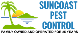 10 Best Pest Control Companies in St. Pete Beach, FL - Today's Homeowner