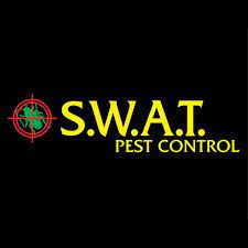 11 Best Pest Companies in Panama City Beach, FL - Today's Homeowner