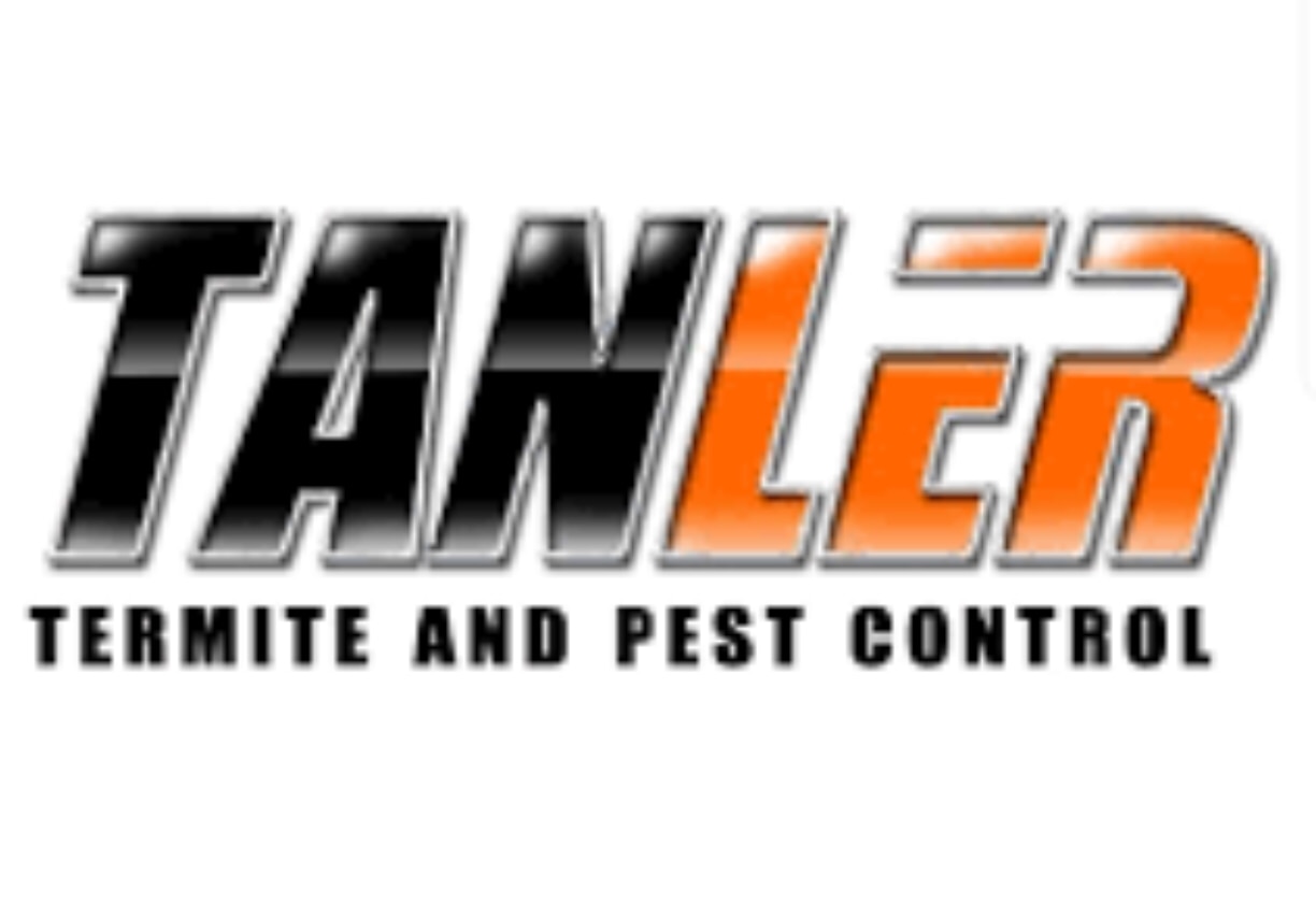 10 Best Pest Control Companies in Redondo Beach, CA - Today's Homeowner